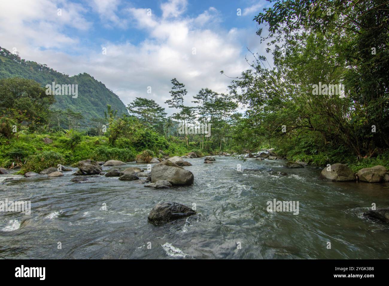 River in a natural tropical environment. Beautiful hidden river and ...