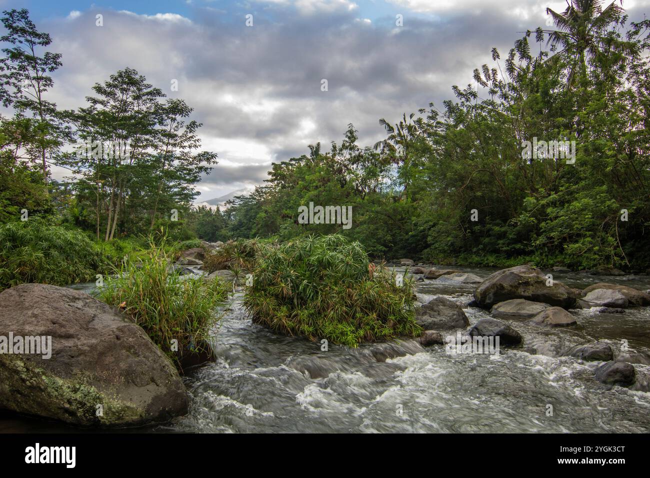 River in a natural tropical environment. Beautiful hidden river and ...