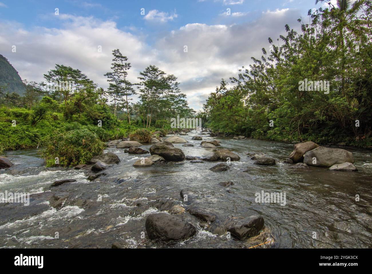 River in a natural tropical environment. Beautiful hidden river and ...