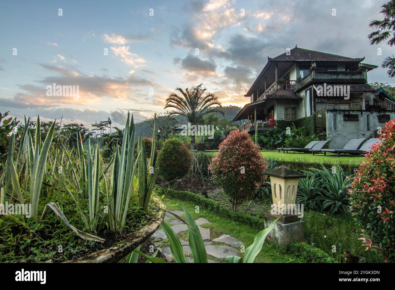 The green side of Bali, green rice terraces in the original Bali. Hotel ...