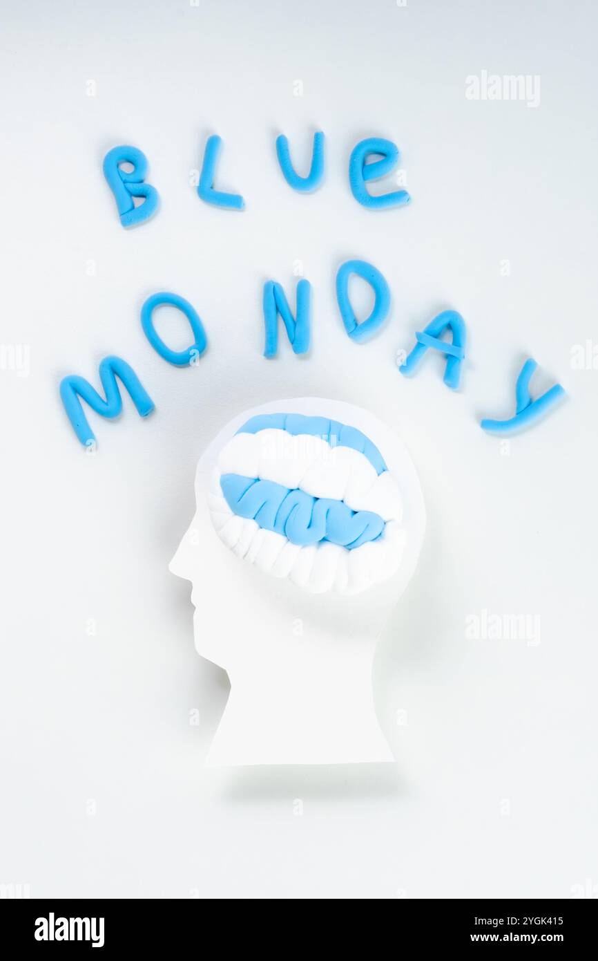 Silhouette of a human head with blue brain white background. Seasonal ...