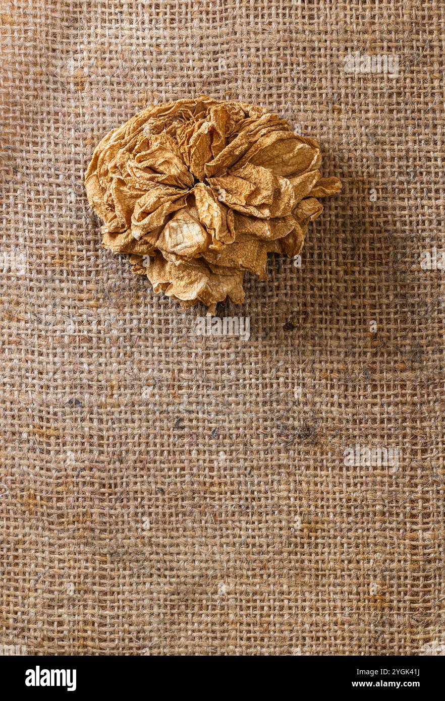 Jute background hi-res stock photography and images - Alamy