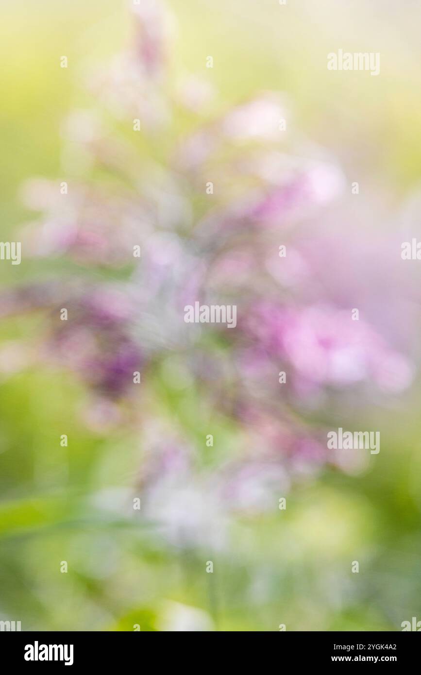 Blurred with motion hi-res stock photography and images - Alamy