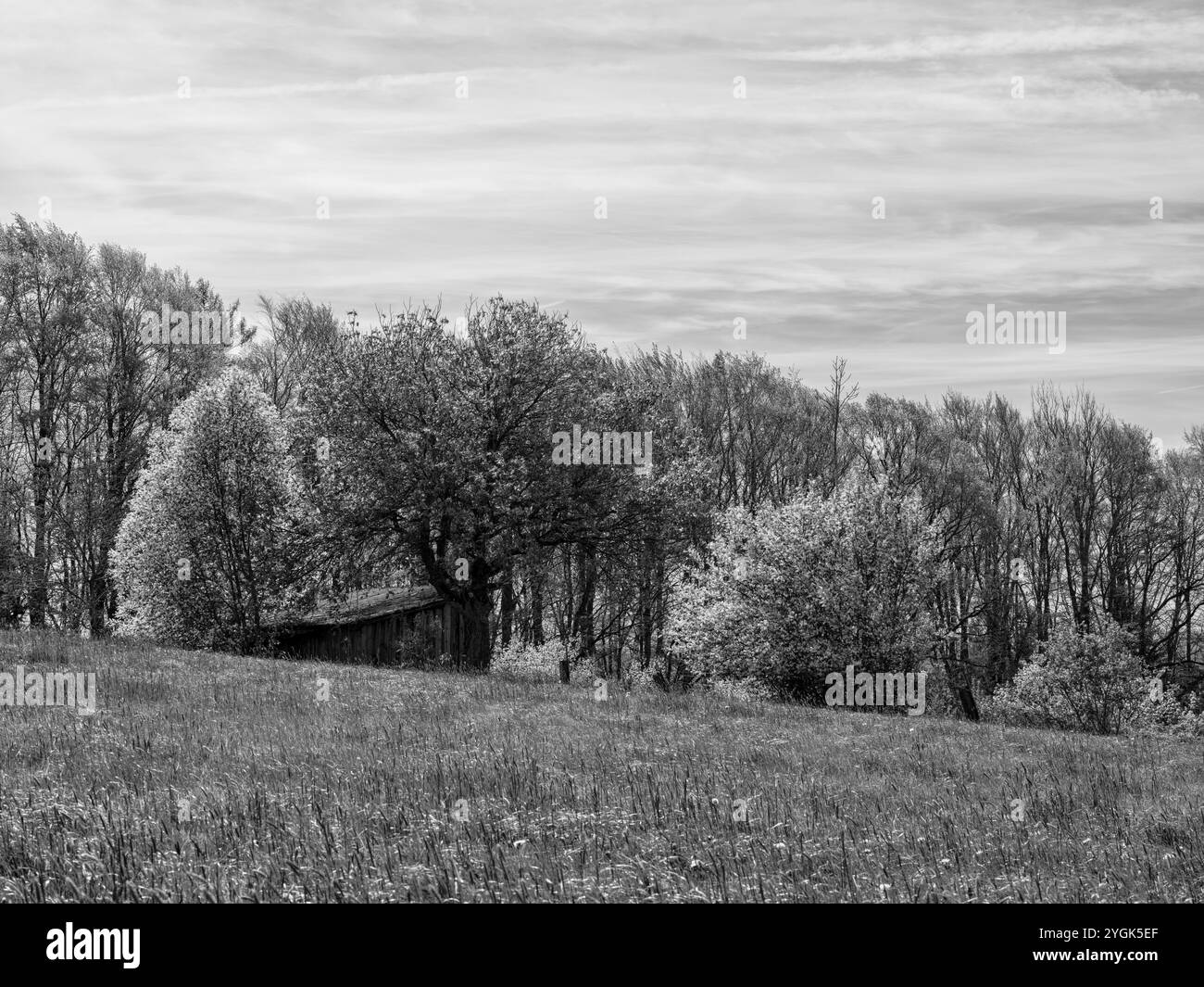 Spring day in the Augsburg Nature Park - Western Forests near Siebnach ...