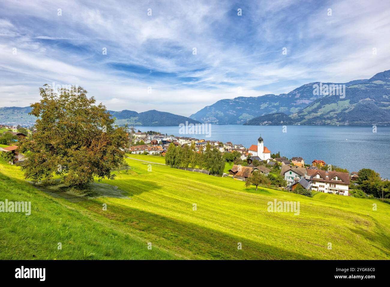 Lucerne meadow hi-res stock photography and images - Alamy