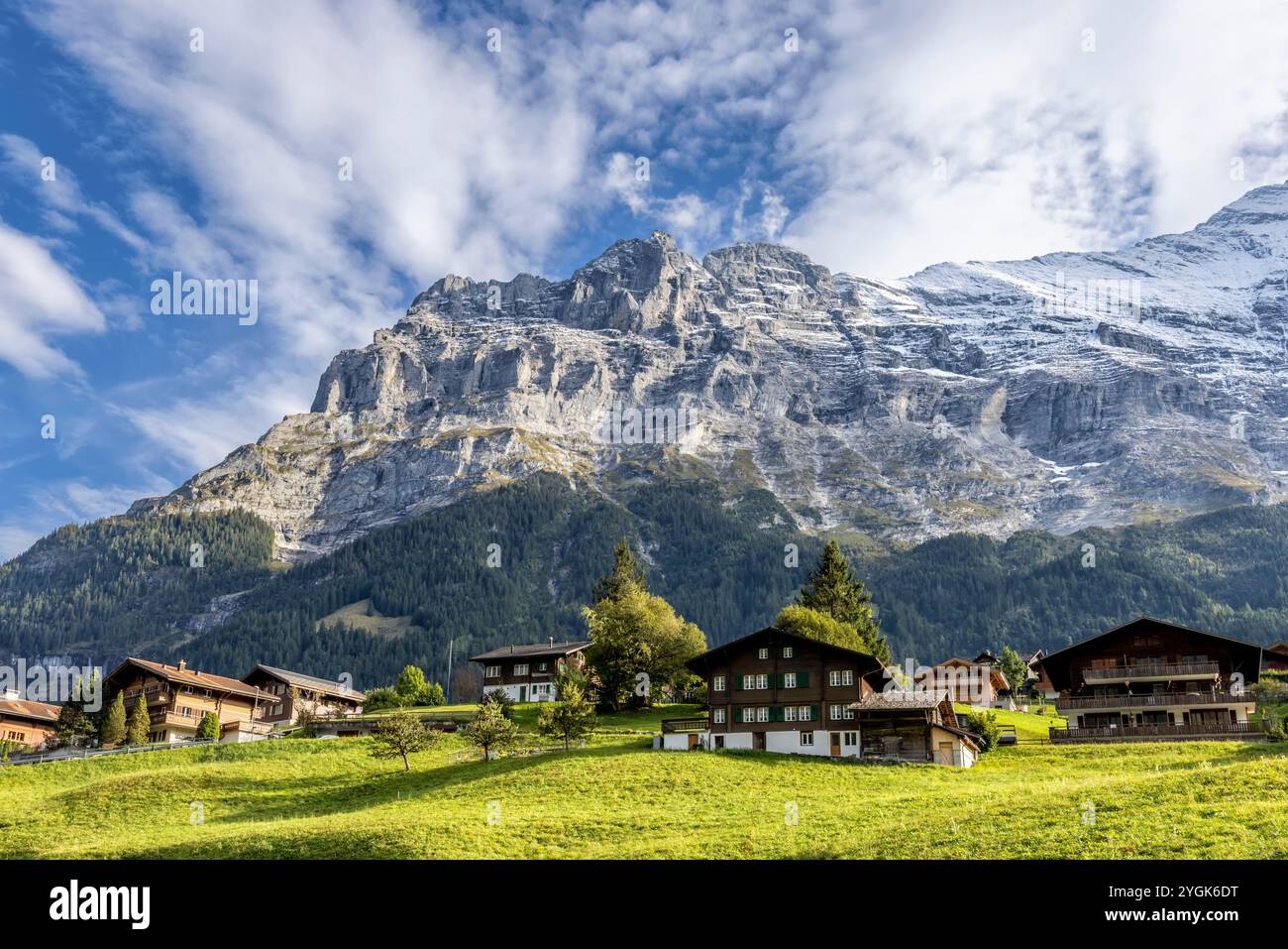 View from the Grindelwald valley to the north face of the Eiger in ...