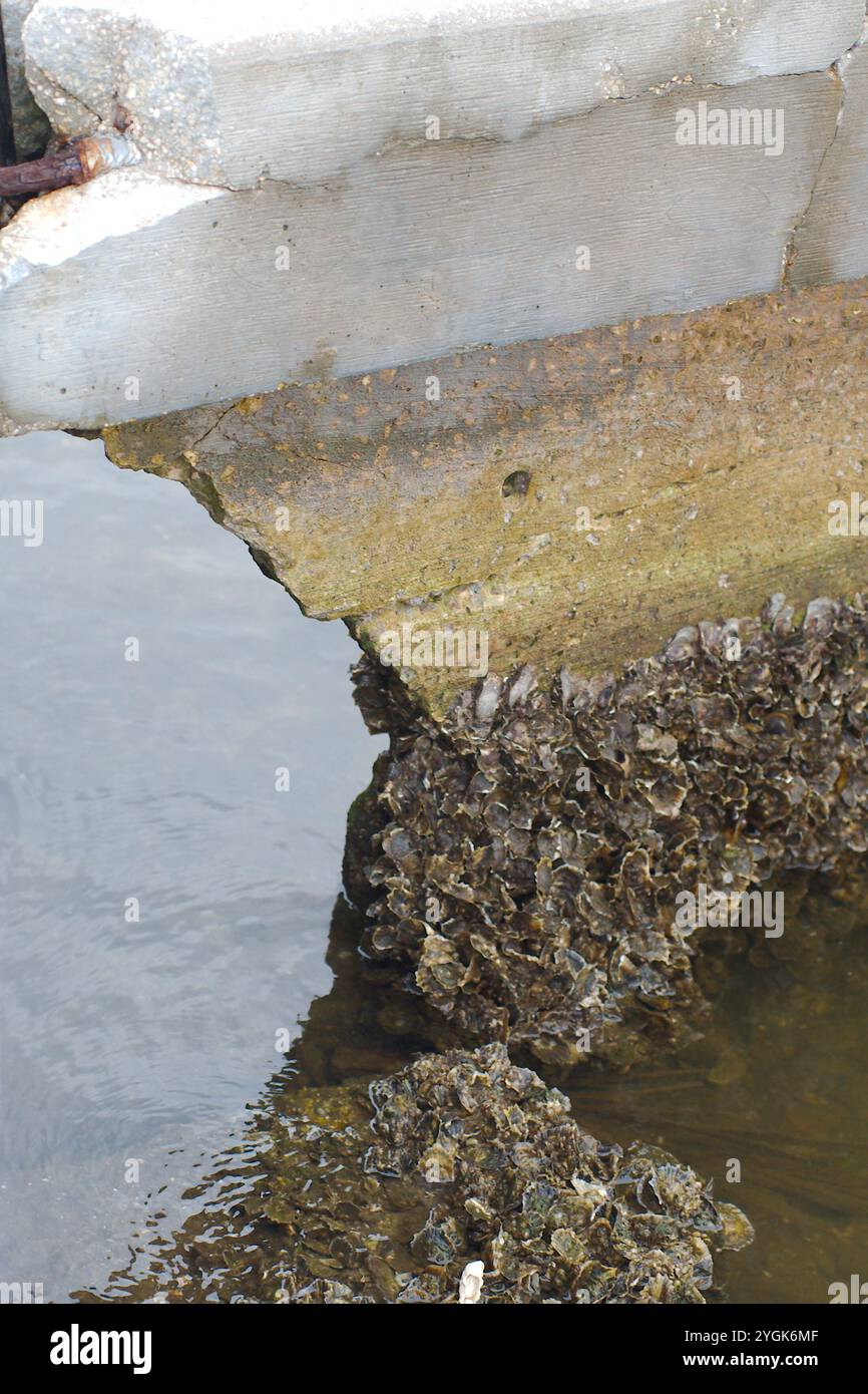 Corner of a seawall hi-res stock photography and images - Alamy