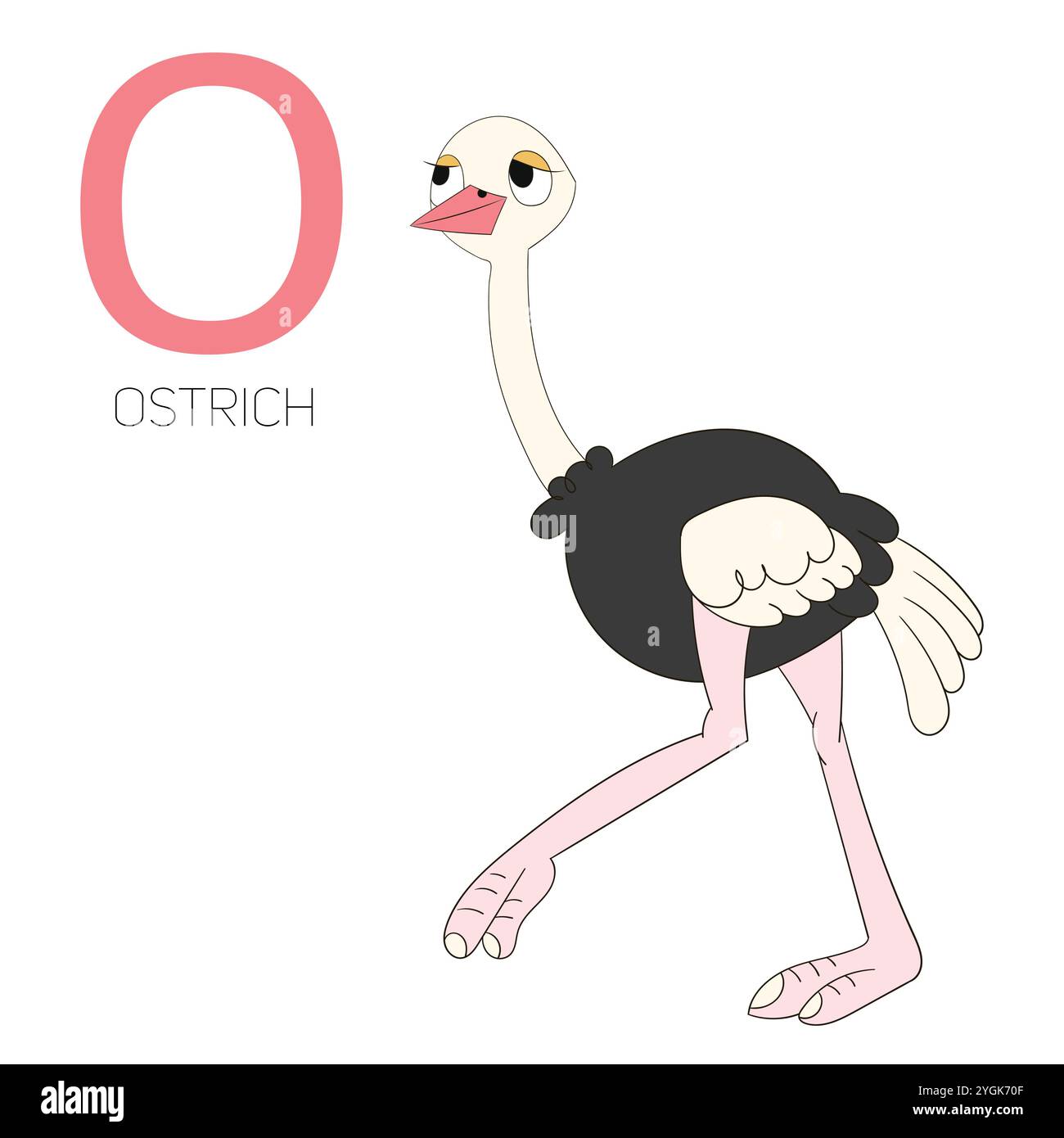 Alphabet letter O ostrich children vector Stock Vector Image & Art - Alamy