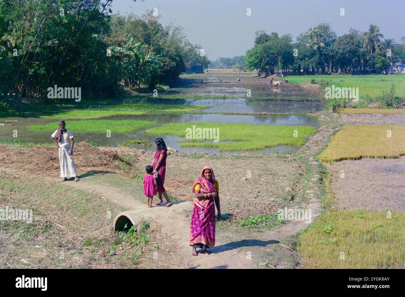 Meherpur district hi-res stock photography and images - Alamy