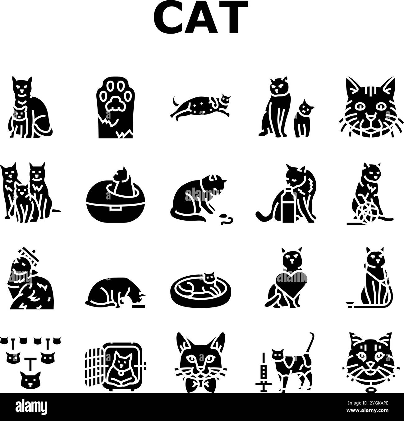 cat breeding genetics cattery icons set vector Stock Vector Image & Art ...