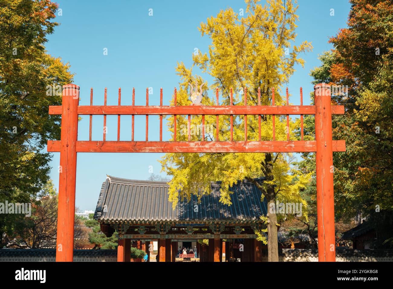 Autumn of Jeonju Hanok Village Gyeonggijeon Shrine in Jeonju, Korea ...