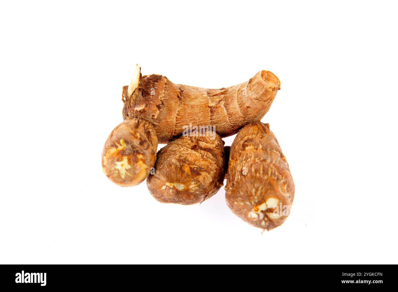 Taro and isolation hi-res stock photography and images - Alamy
