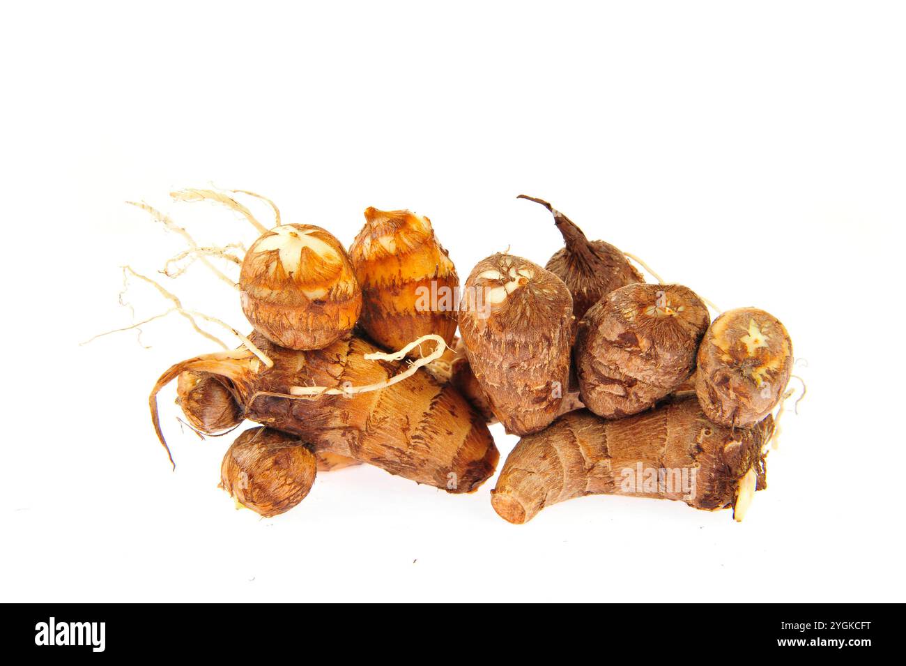 Taro and isolation hi-res stock photography and images - Alamy