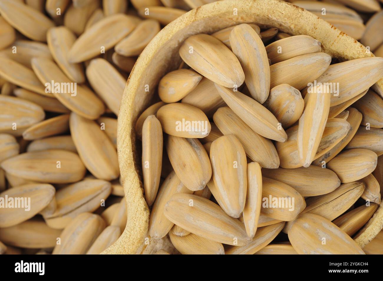 Shelled melon seeds Stock Photo - Alamy