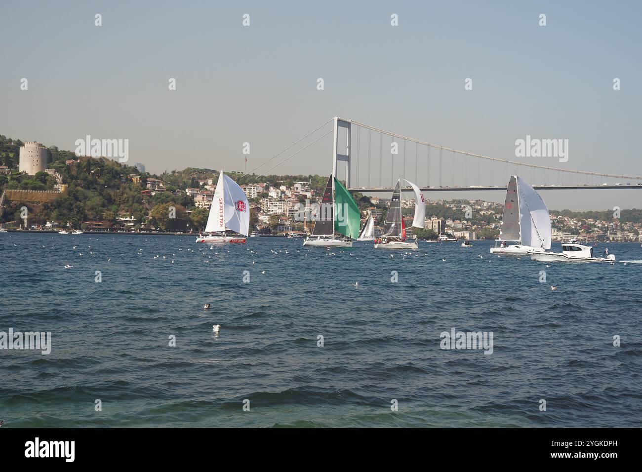 Maritime regatta hi-res stock photography and images - Alamy