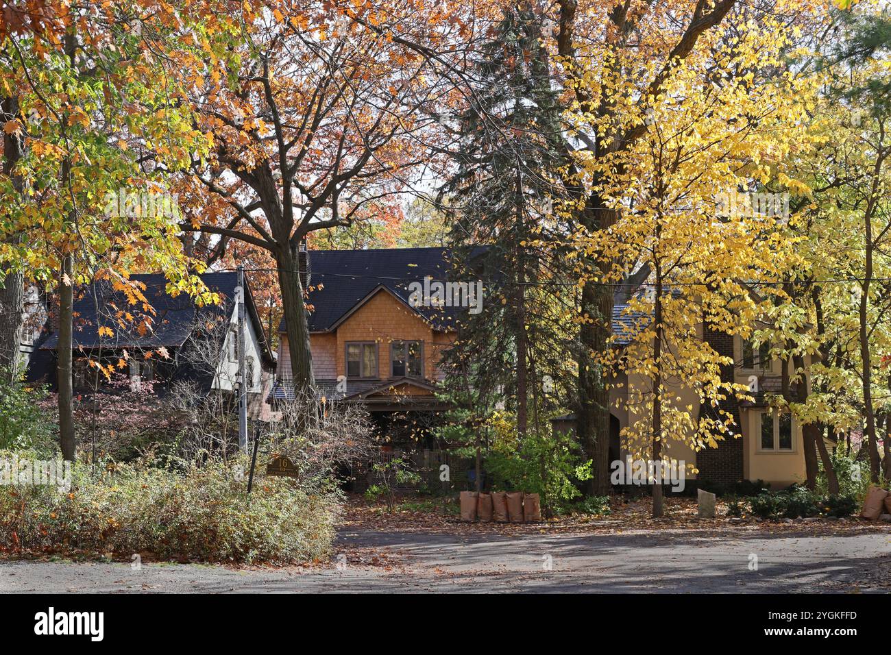 residential street with trees in brilliant fall colors Stock Photo - Alamy