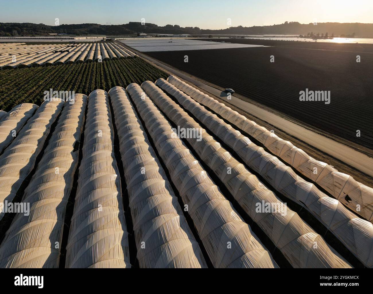 The agricultural landscape near Watsonville, California where ...