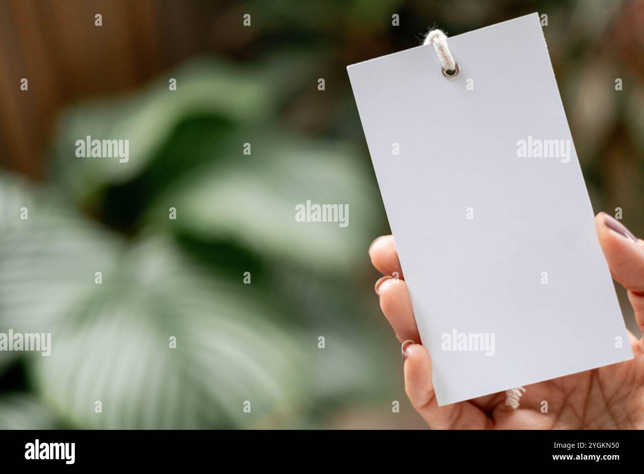 Hand holding blank white label on green background with living plants ...