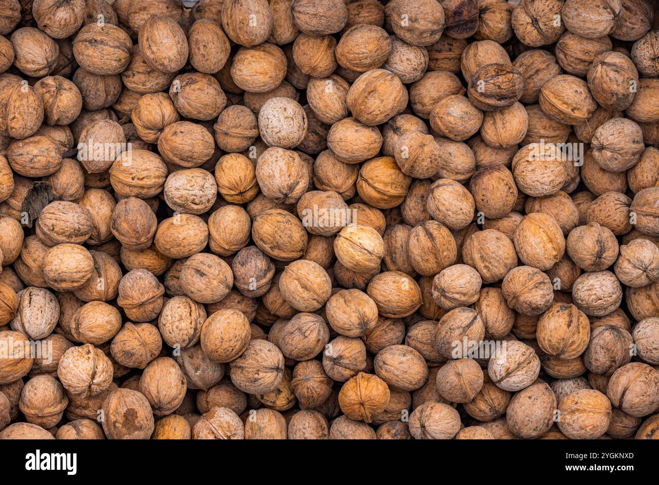 pile of unpeeled walnuts, full-frame texture and background Stock Photo ...