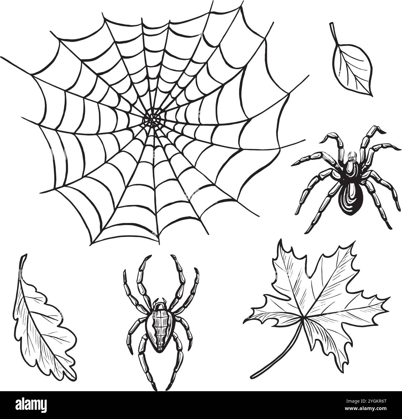 Spiders with web and leaves. Set autumn sketch. Vector line ...