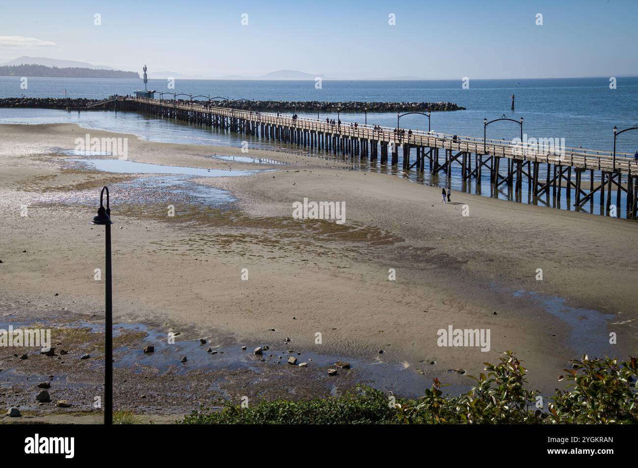 Photo of 470-metre, wooden White Rock pier, originally built in 1914 ...