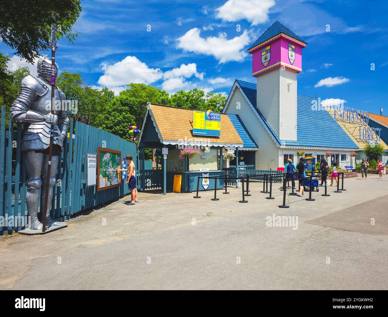 View Enchanted Forest Enchanted Forest Under The Moonlight With