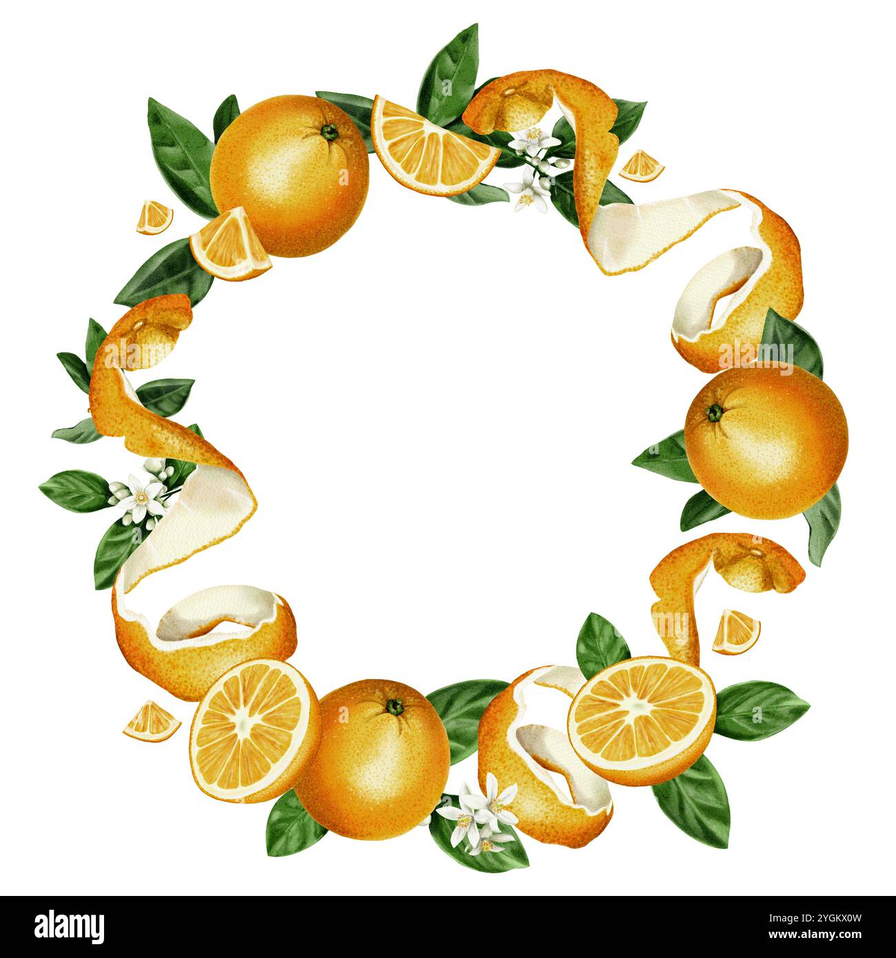 Flowers in lemon tree Cut Out Stock Images & Pictures - Alamy