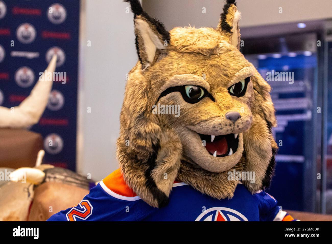 Edmonton, Canada. 07th Nov, 2024. Edmonton Oiler's Mascot Hunter opens ...