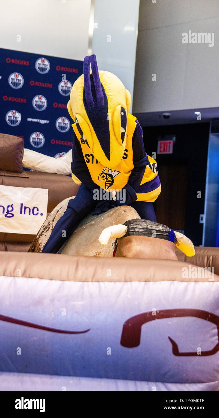 Edmonton, Canada. 07th Nov, 2024. Edmonton Stinger's Mascot "Buzz ...