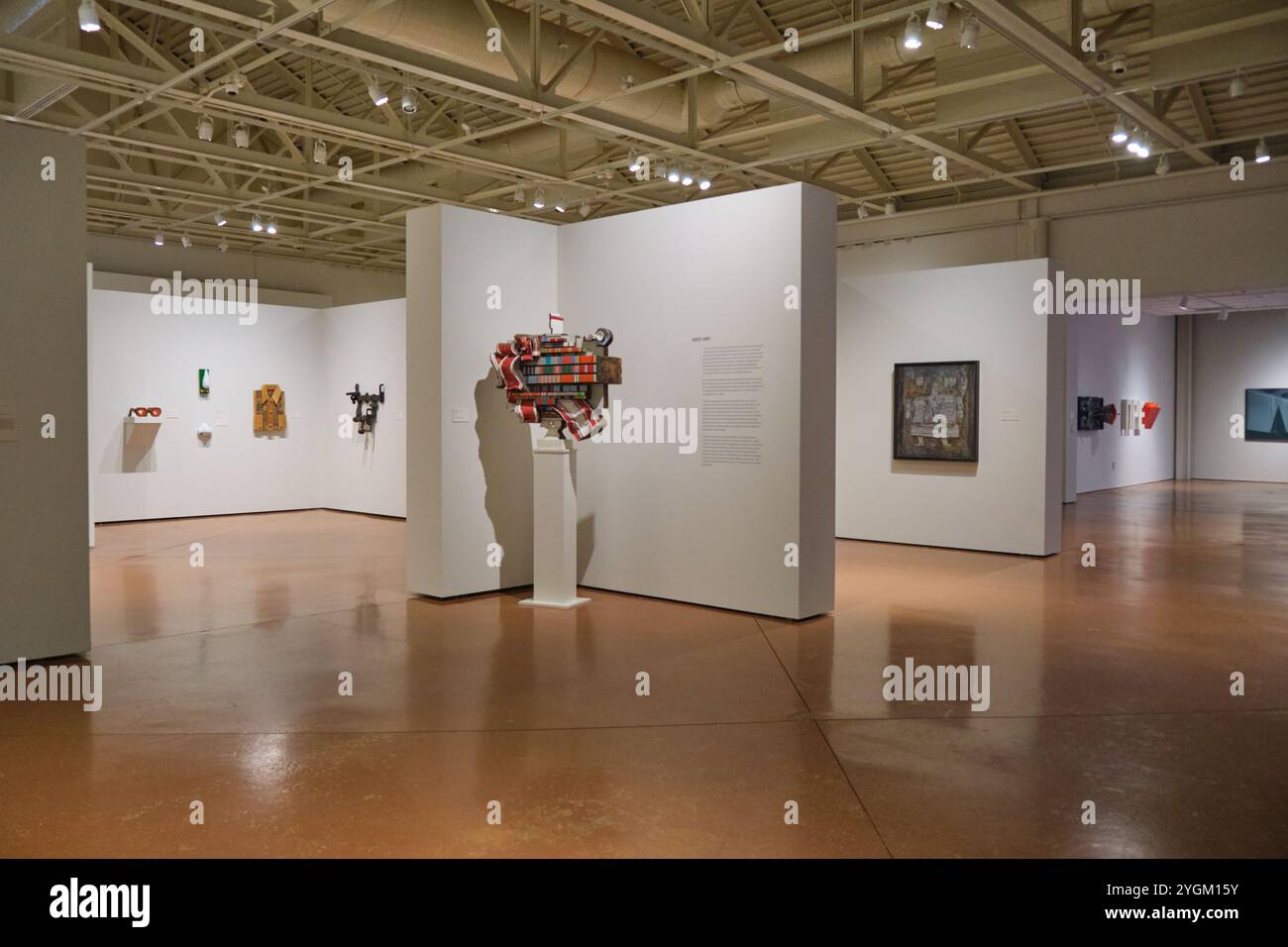 View of the Norton Nancy Dodge Collection of Russian, Soviet ...