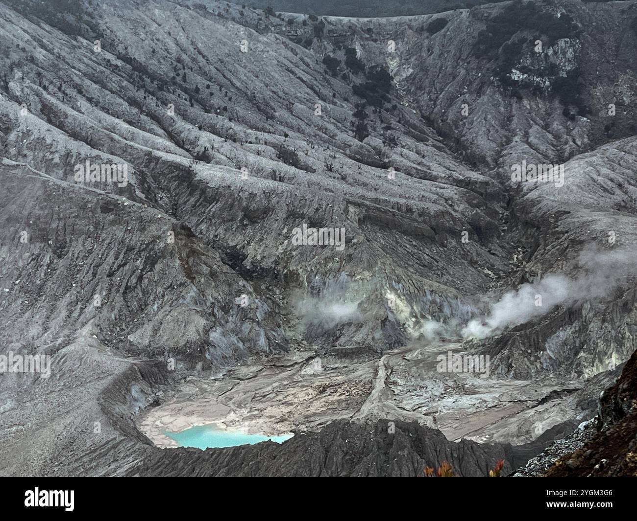Tangkuban Perahu Volcano, Kawah Ratu (Queen Crater). Bandung, West Java Stock Photo - Alamy