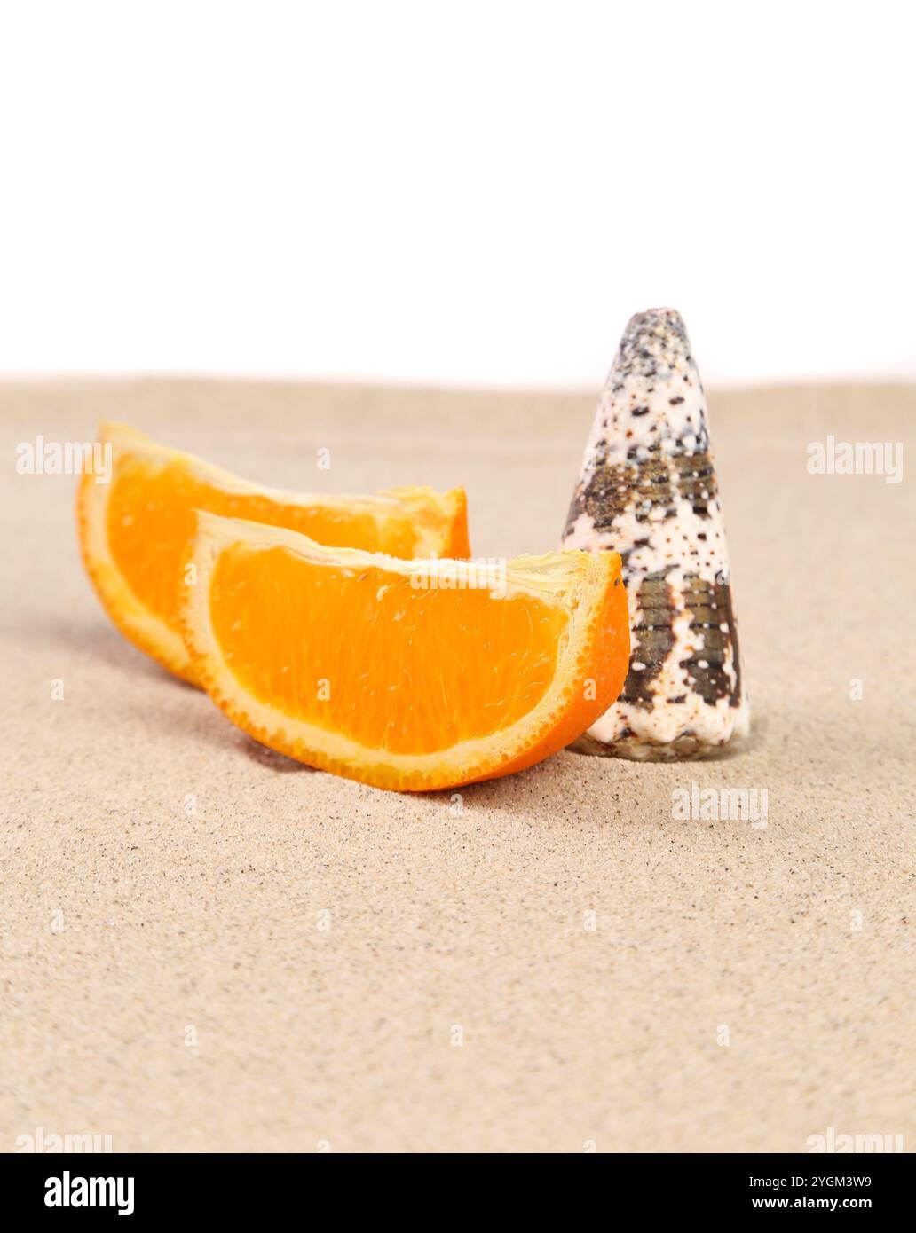 Orange and shell on sand. White background Stock Photo - Alamy