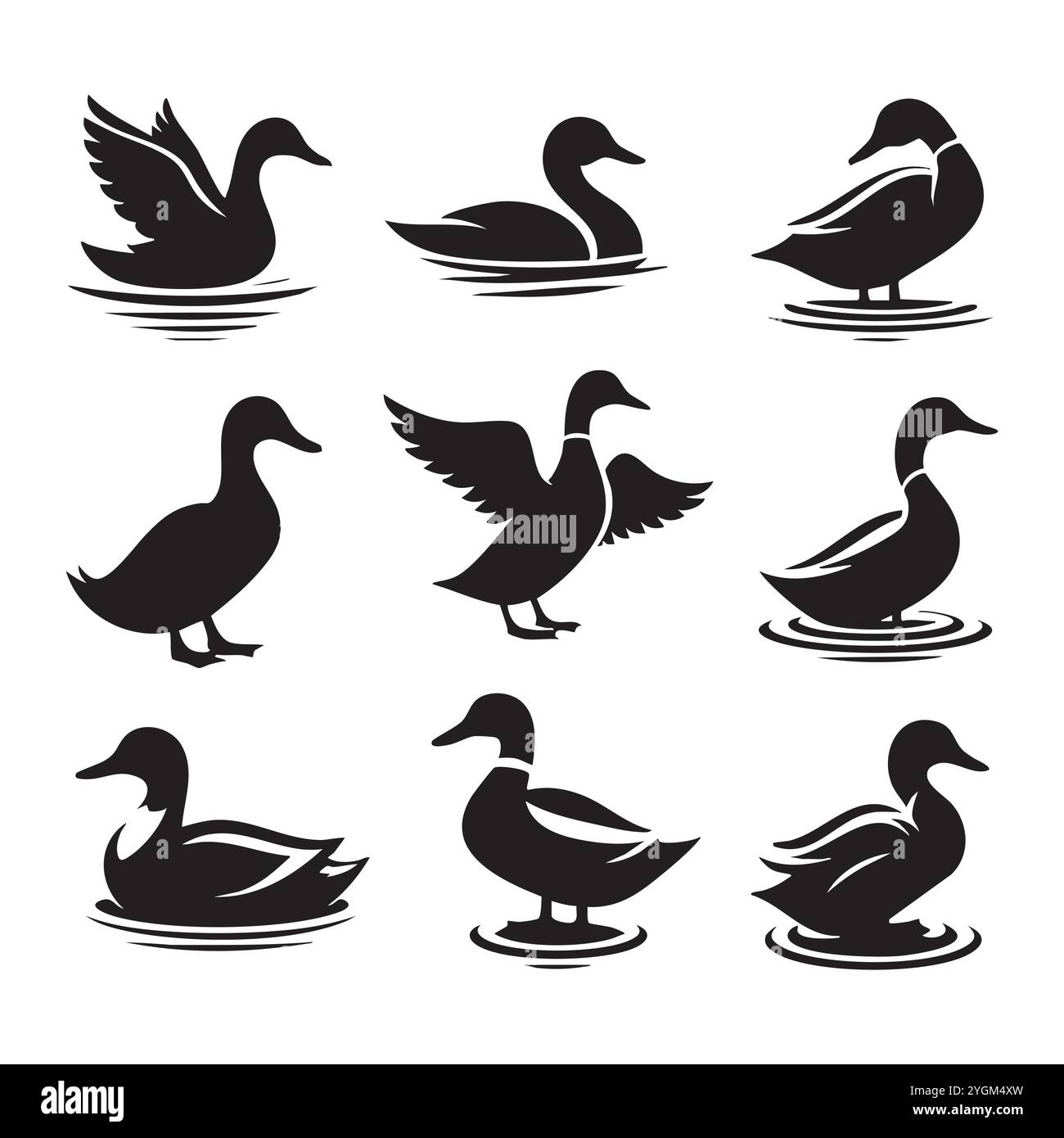 Set of duck silhouette Stock Vector Image & Art - Alamy