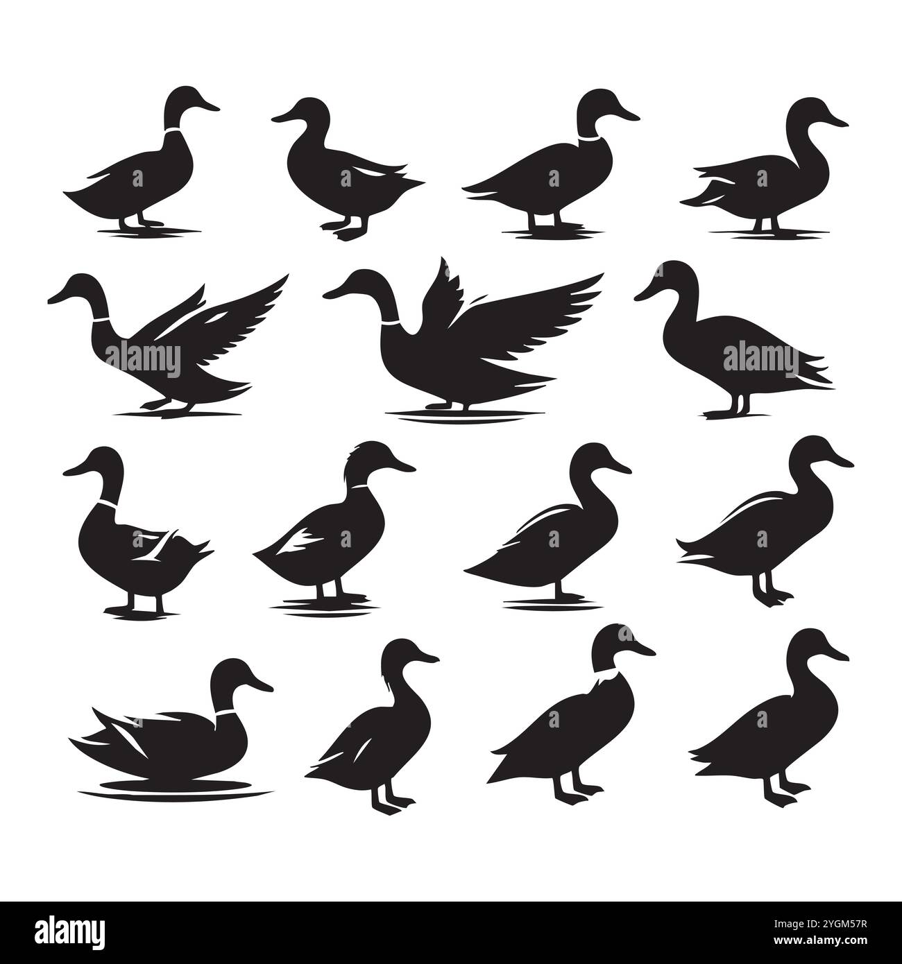 Duck family swim Stock Vector Images - Alamy