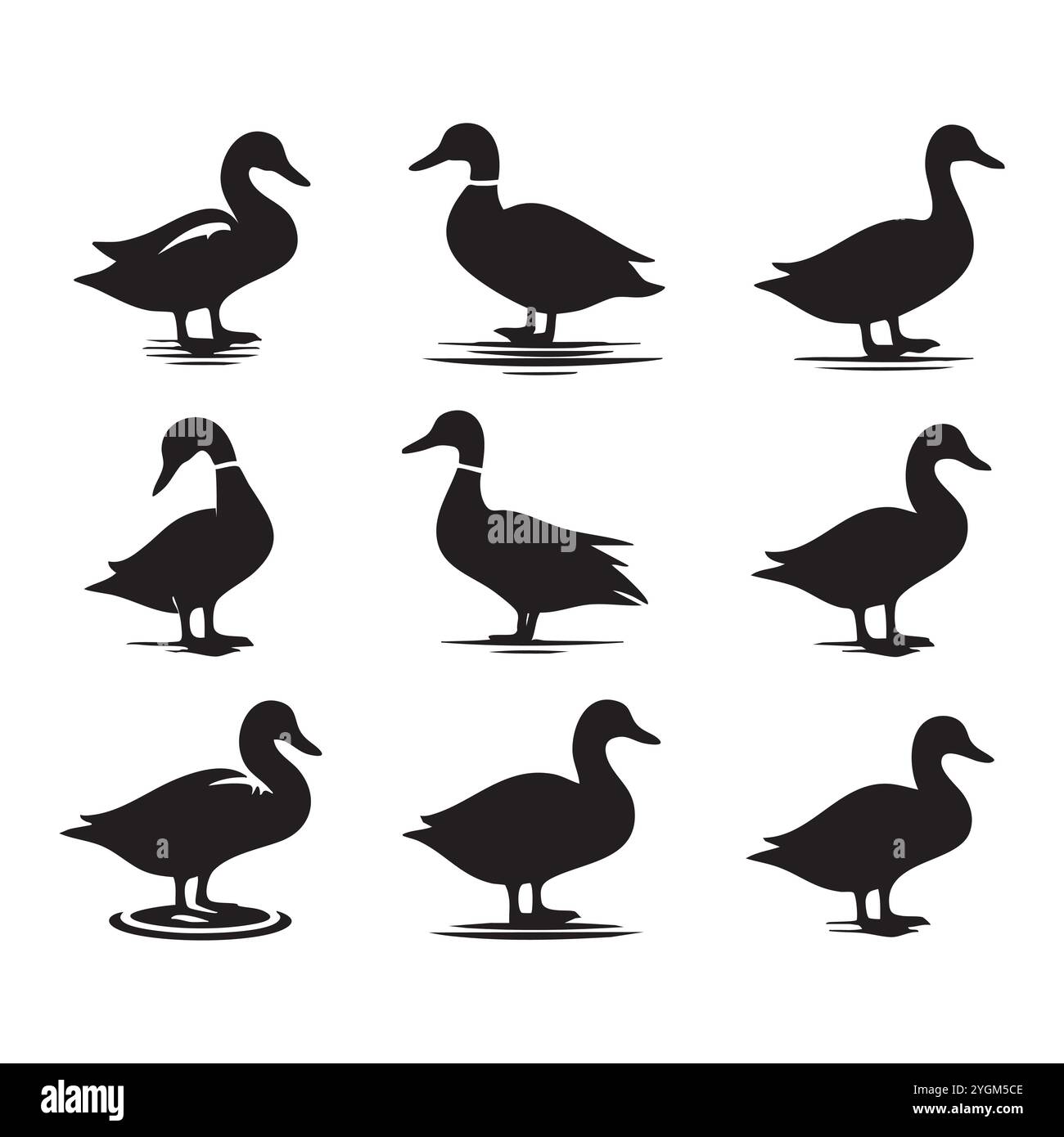 Set of duck silhouette Stock Vector Image & Art - Alamy