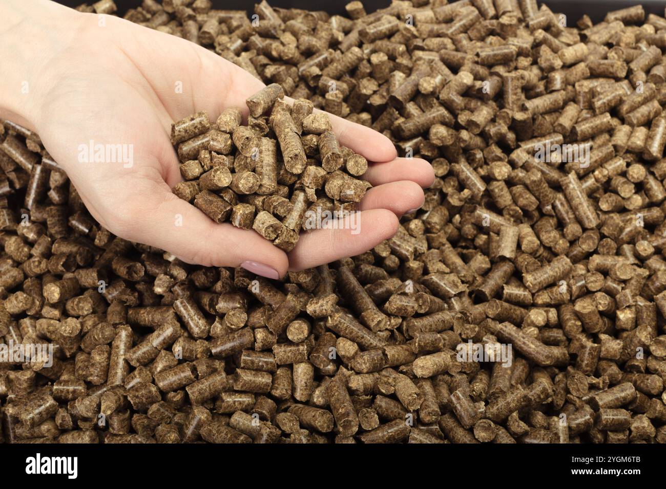 Human hand holding solid wooden pellets Stock Photo - Alamy