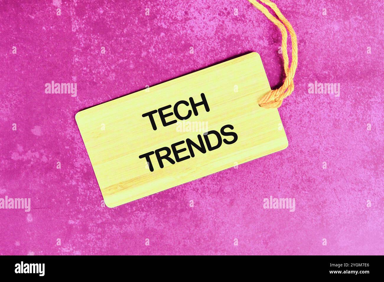 Business, programming, interface, application and network concept. Text ...