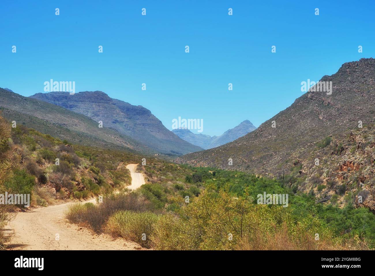 Outdoor, nature and path in hill bush, holiday location and peace in ...