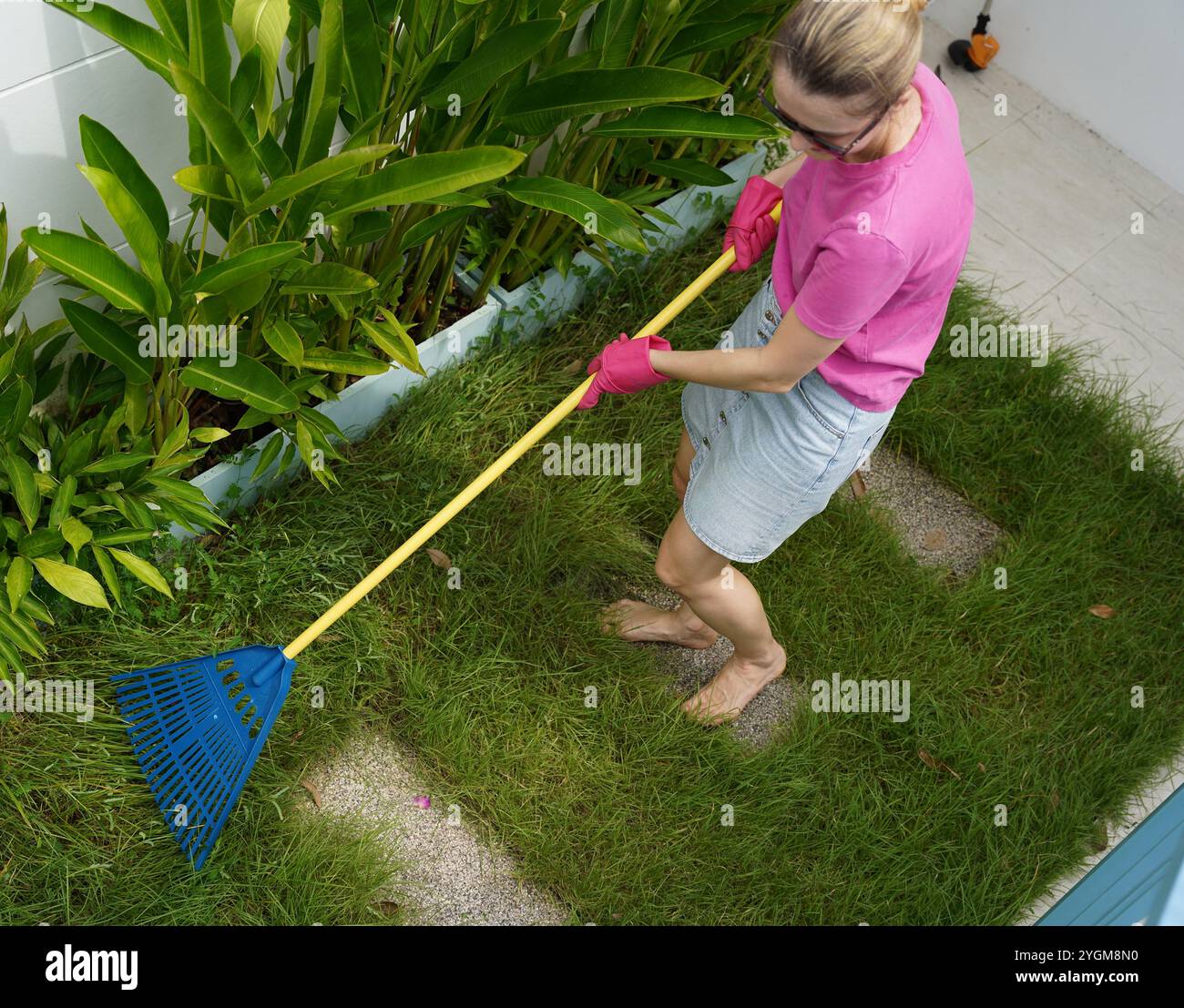 A woman raking the lawn at the backyard of her house Stock Photo - Alamy