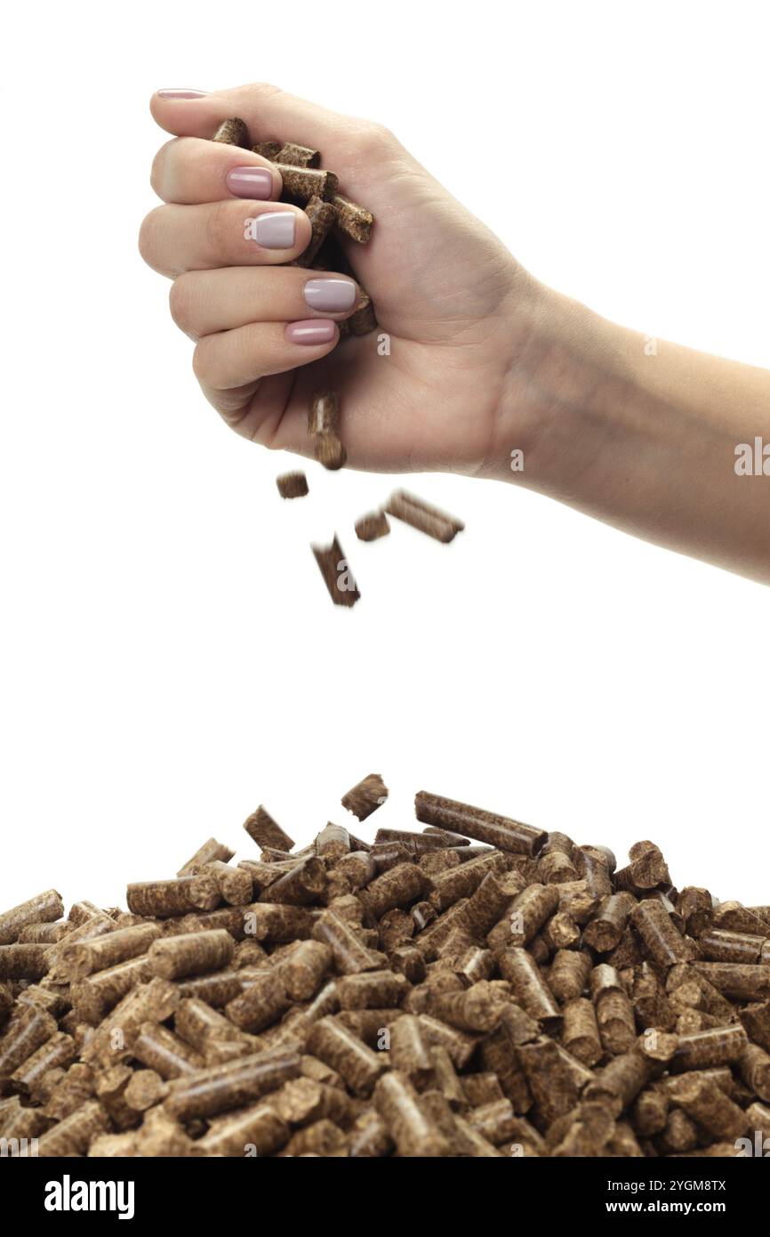 Human hand holding solid wooden pellets Stock Photo - Alamy