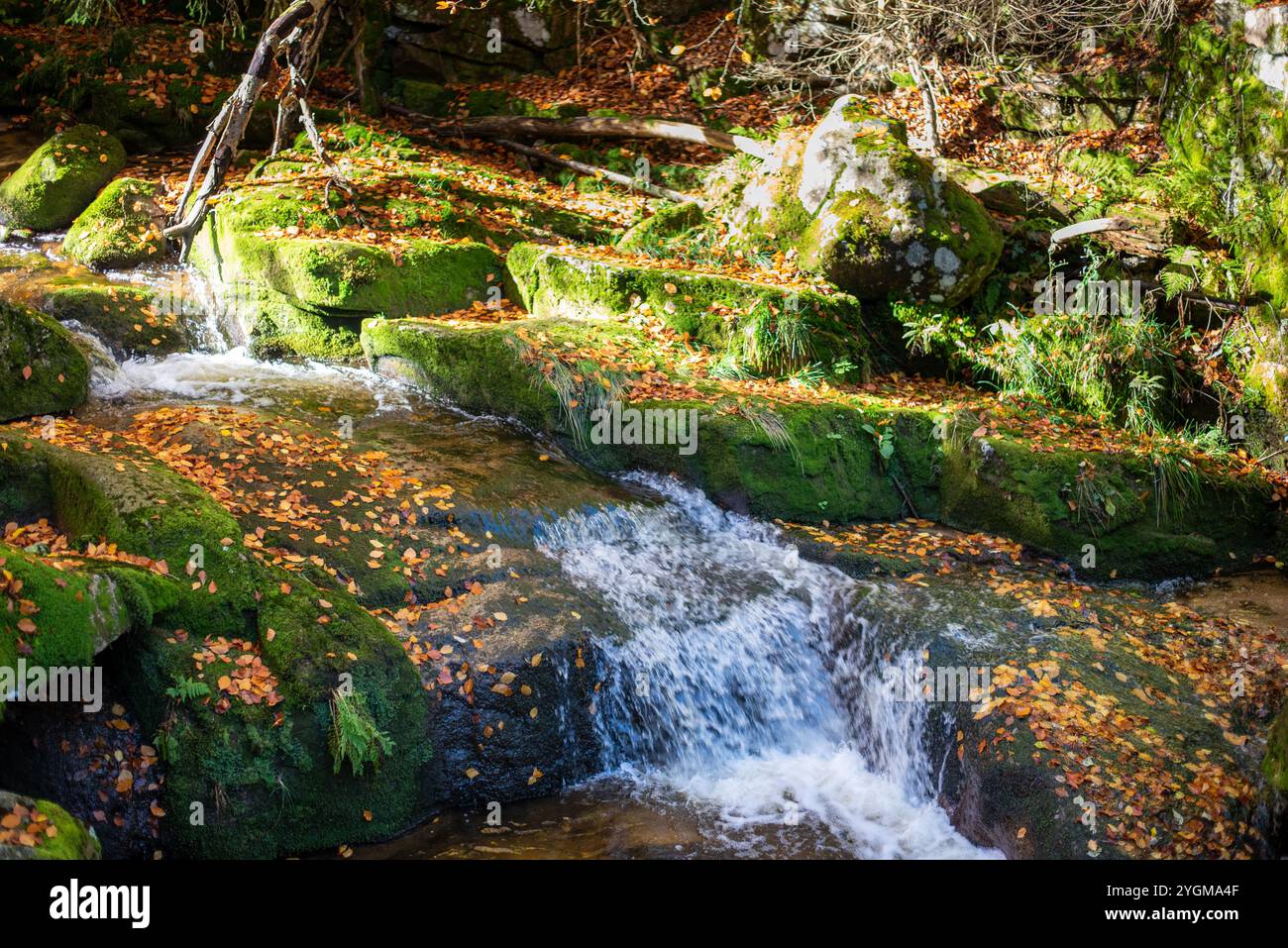 Waterfall Kamieńczyka in Szklarska Poręba, Poland, cascades beautifully over rocky cliffs, set ...