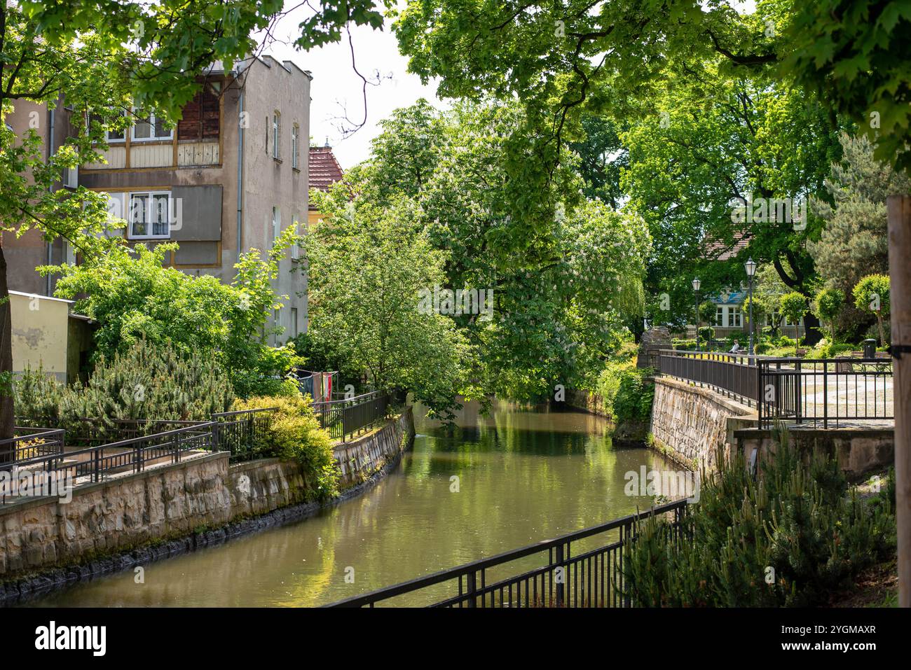 Water channels of the Nysa river in Klodzko, Poland, flowing around the ...