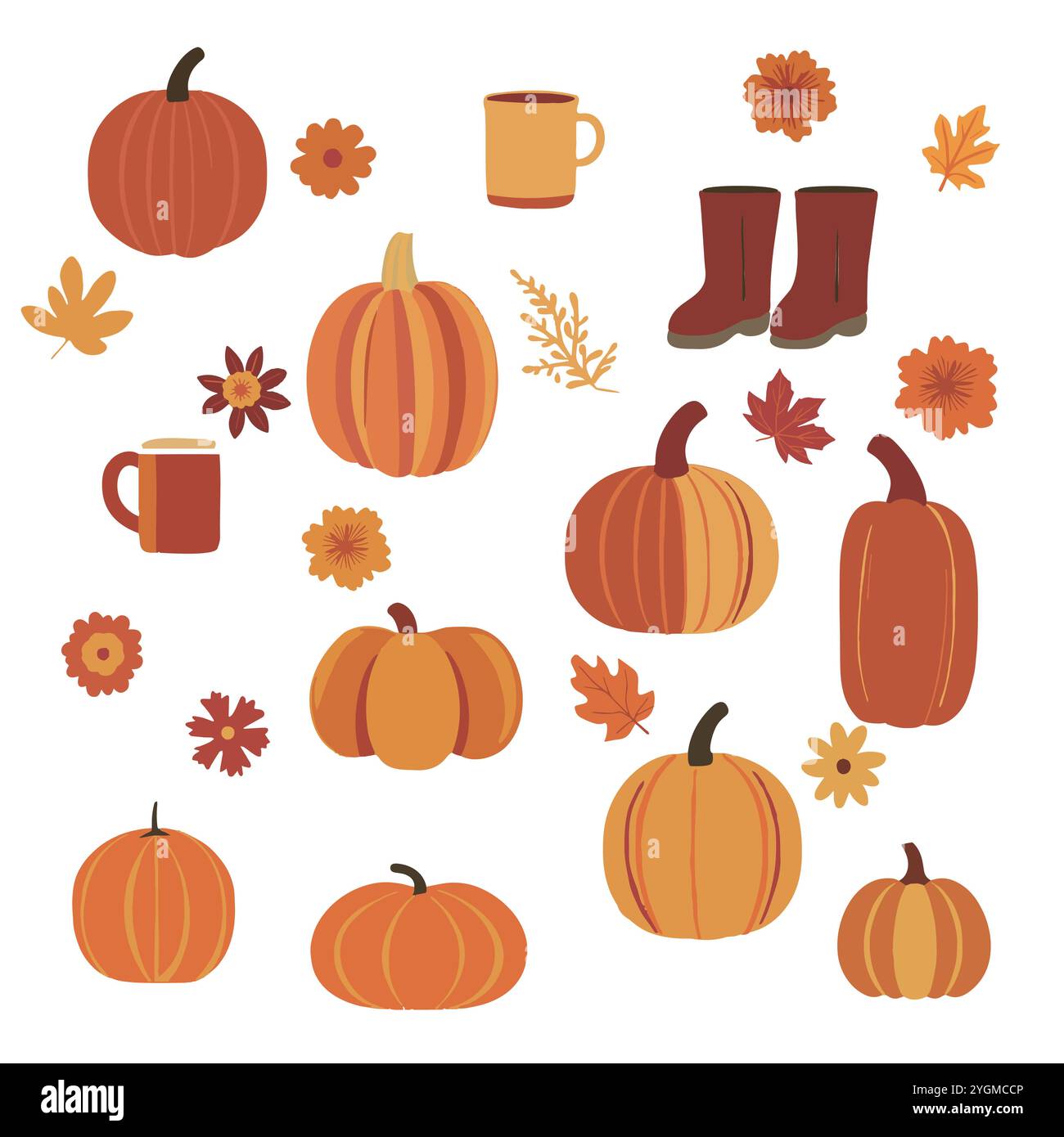 Vector collection of hand drawn pumpkins and autumn design elements set ...