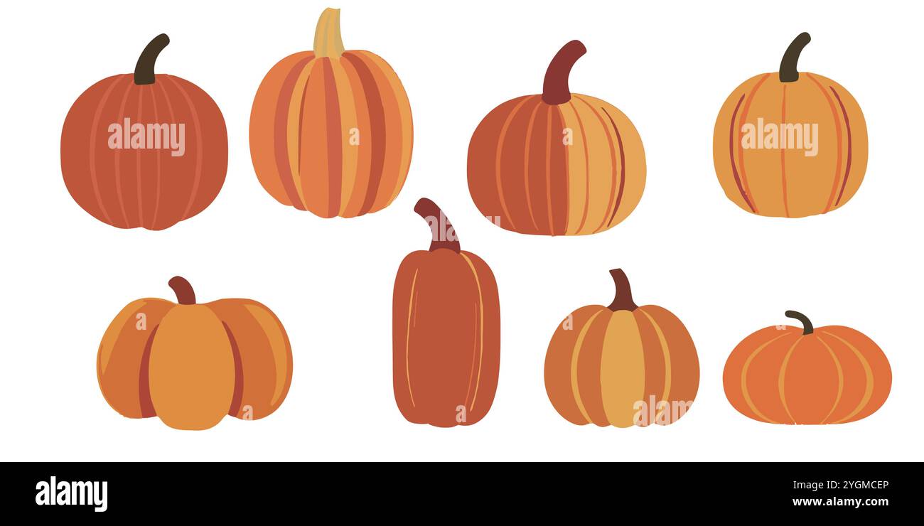 Vector collection of hand drawn pumpkins and autumn design elements set ...
