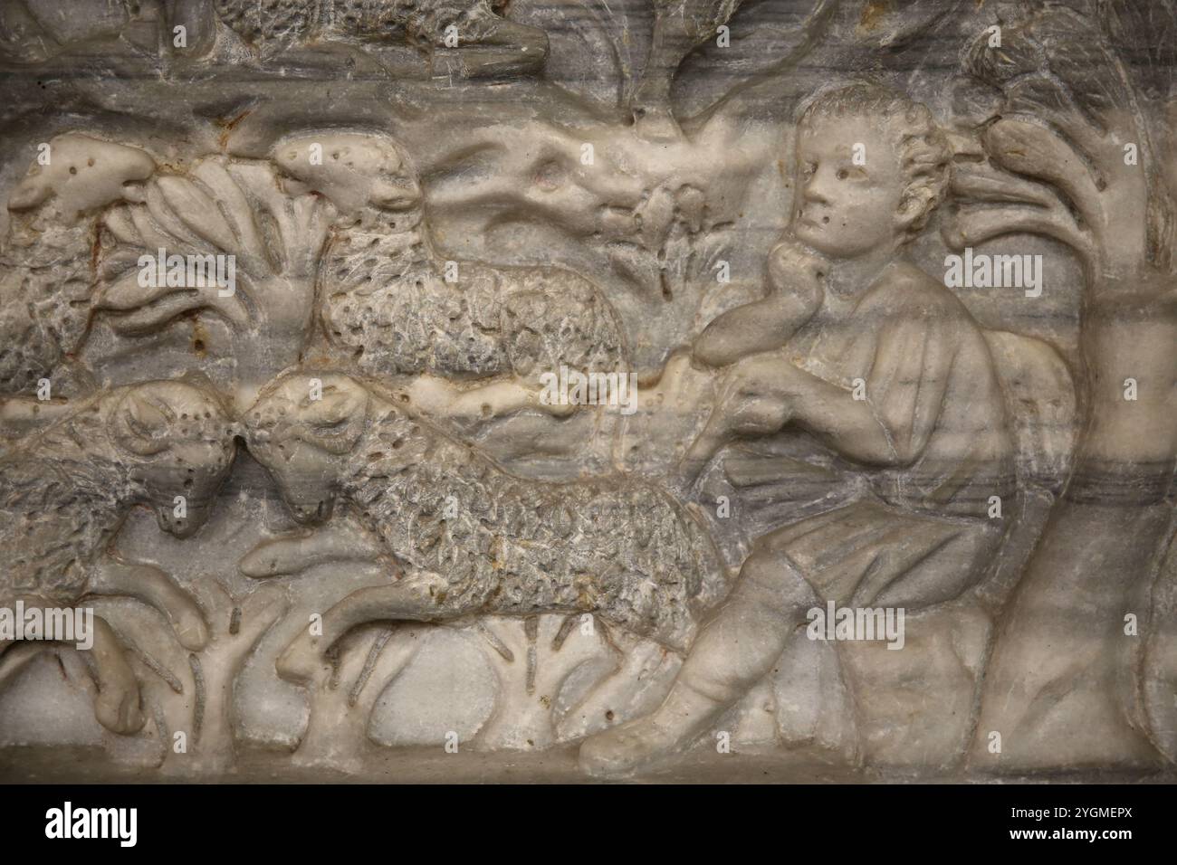 Sarcophagus with pastorial scenes. 270 Ad. Marble. Detail of sheeps ...