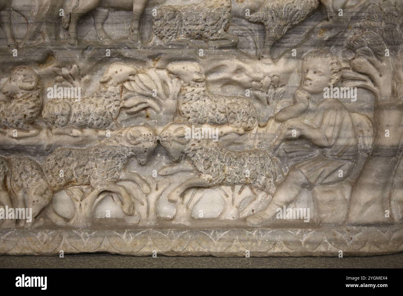 Iulius achileus hi-res stock photography and images - Alamy