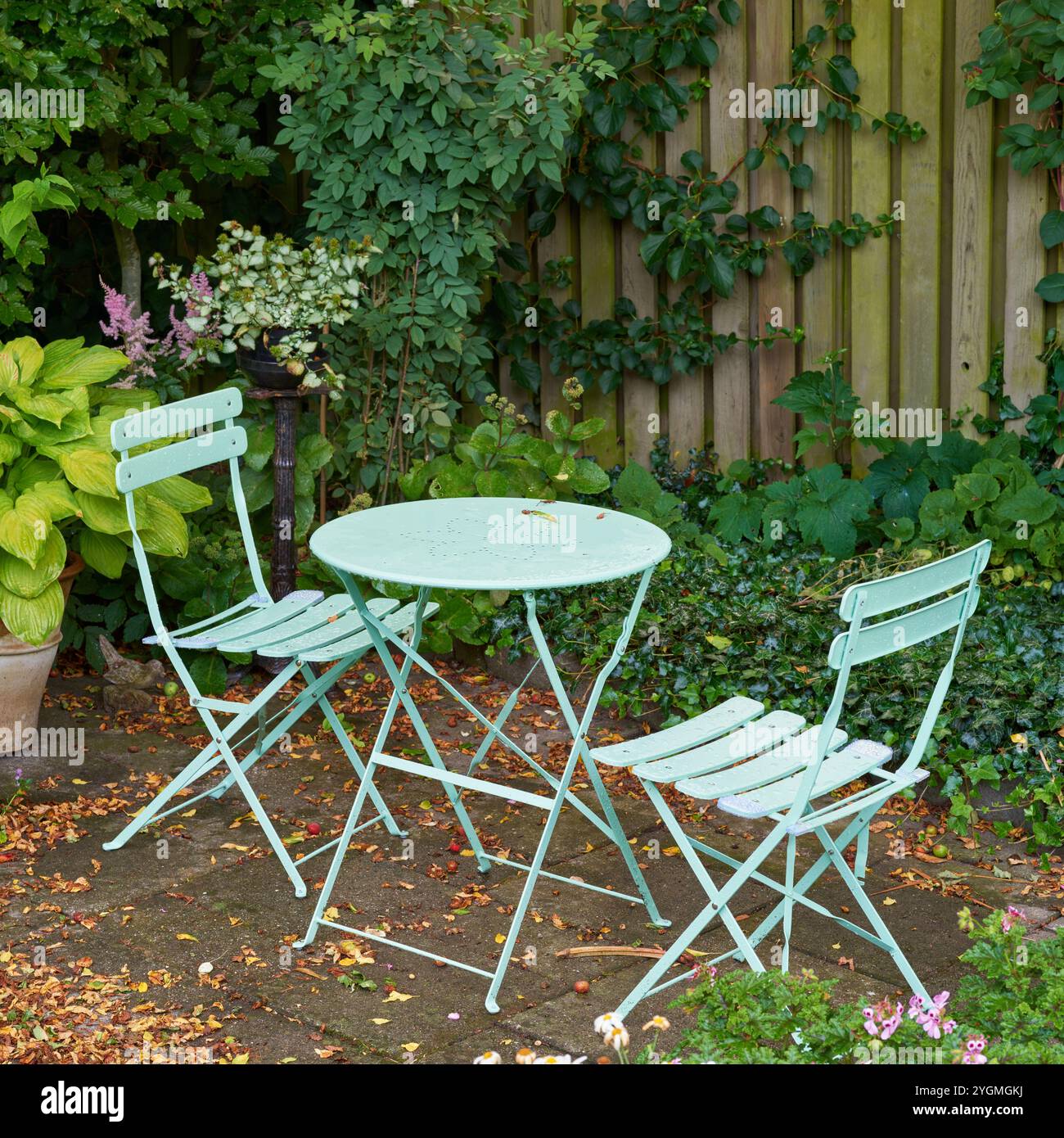 Furniture, chair or garden with table set in backyard for outdoor decor ...