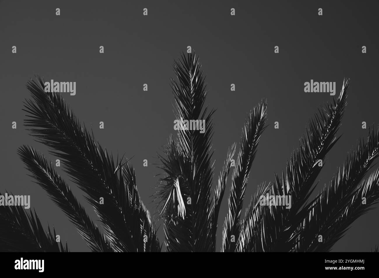 Black and white visual Stock Photo - Alamy
