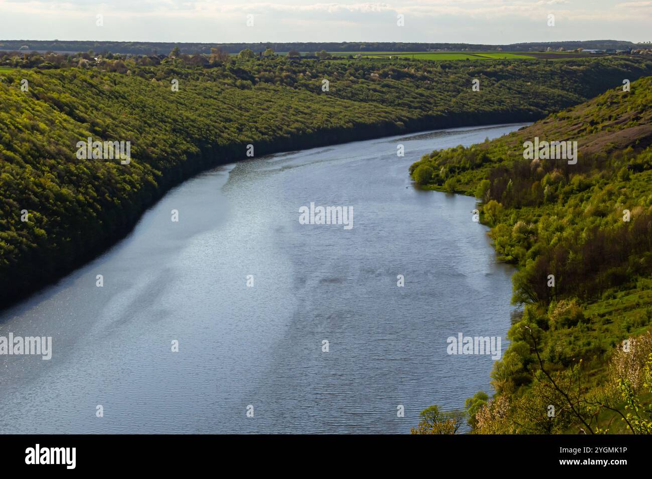 river in green banks covered with woods Stock Photo - Alamy