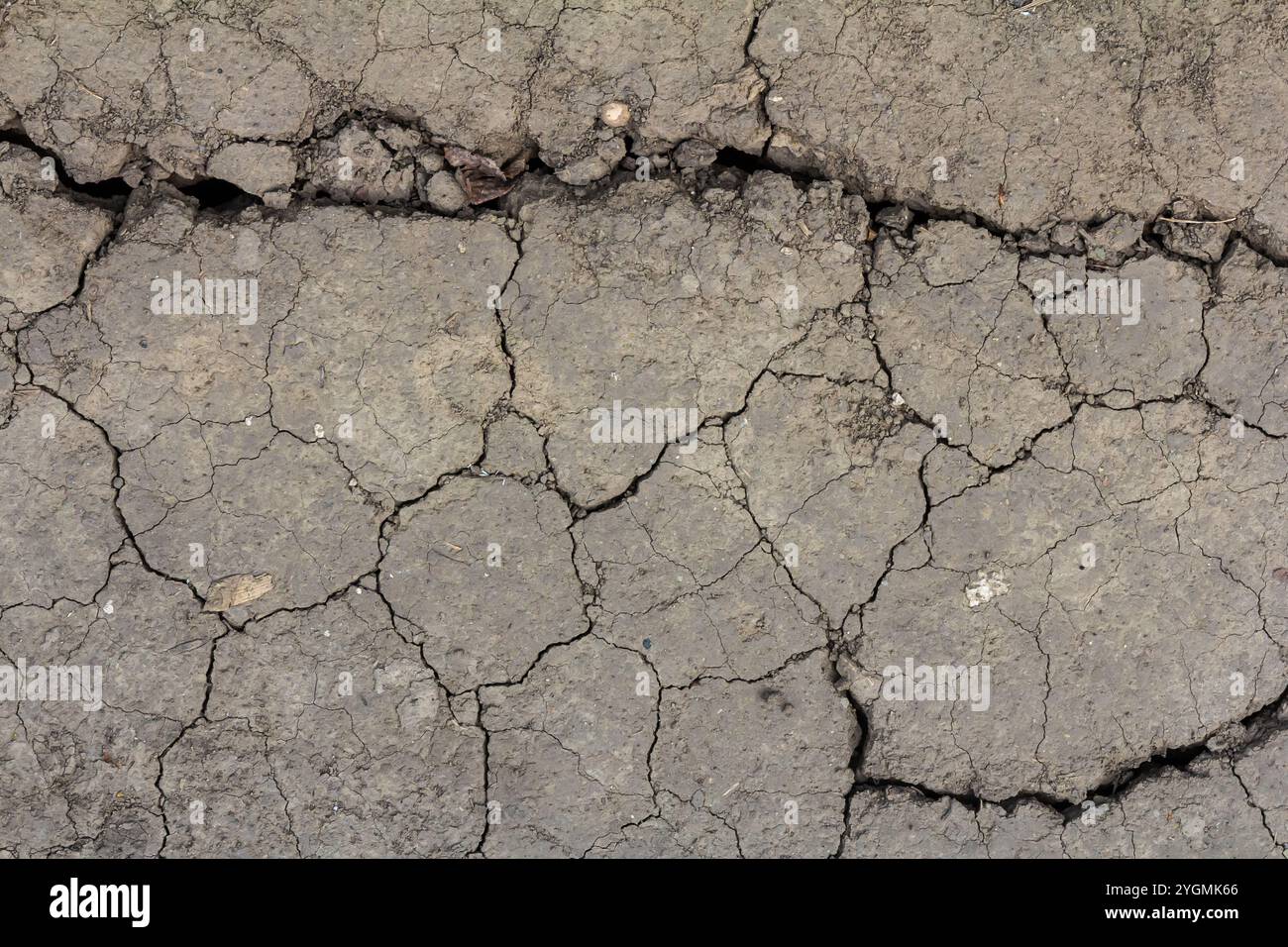 Clay texture textures textured moss hi-res stock photography and images ...